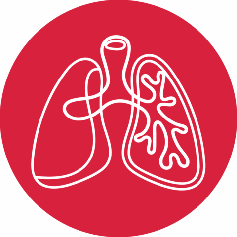 ILD • NB Lung / Poumon NB